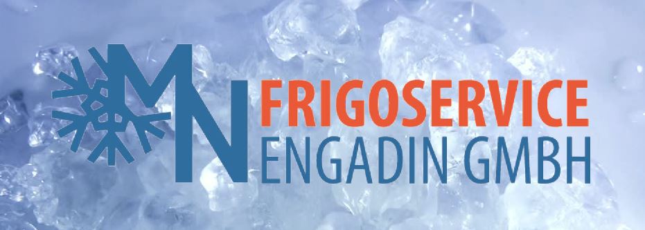 frigoservice_logo_ice – MN Frigoservice Engadin